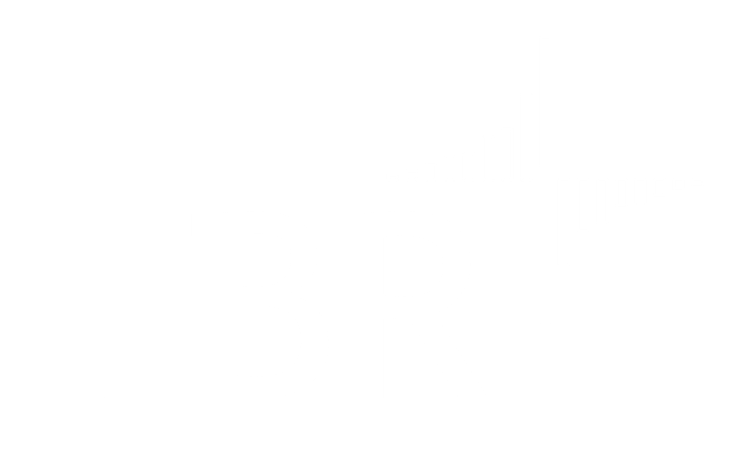 TBR Insights Flight Subscriber